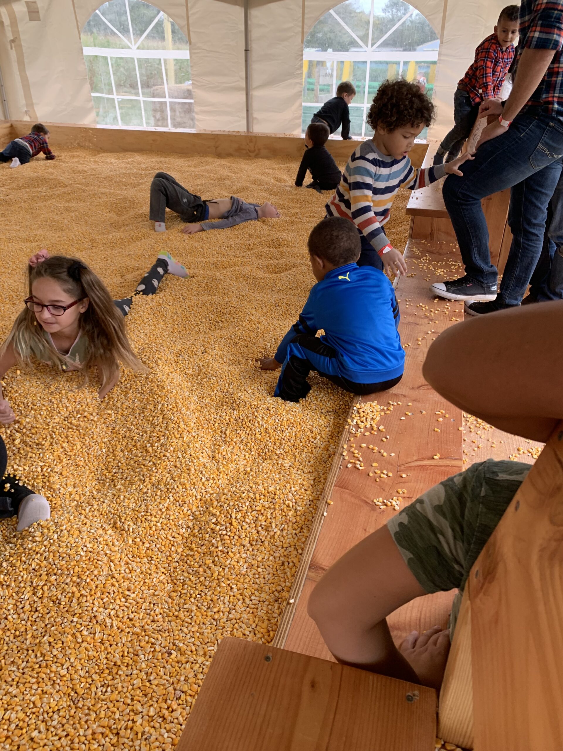 Why Happy Day Farm is one of New Jersey's TOP FARM to visit this fall ...