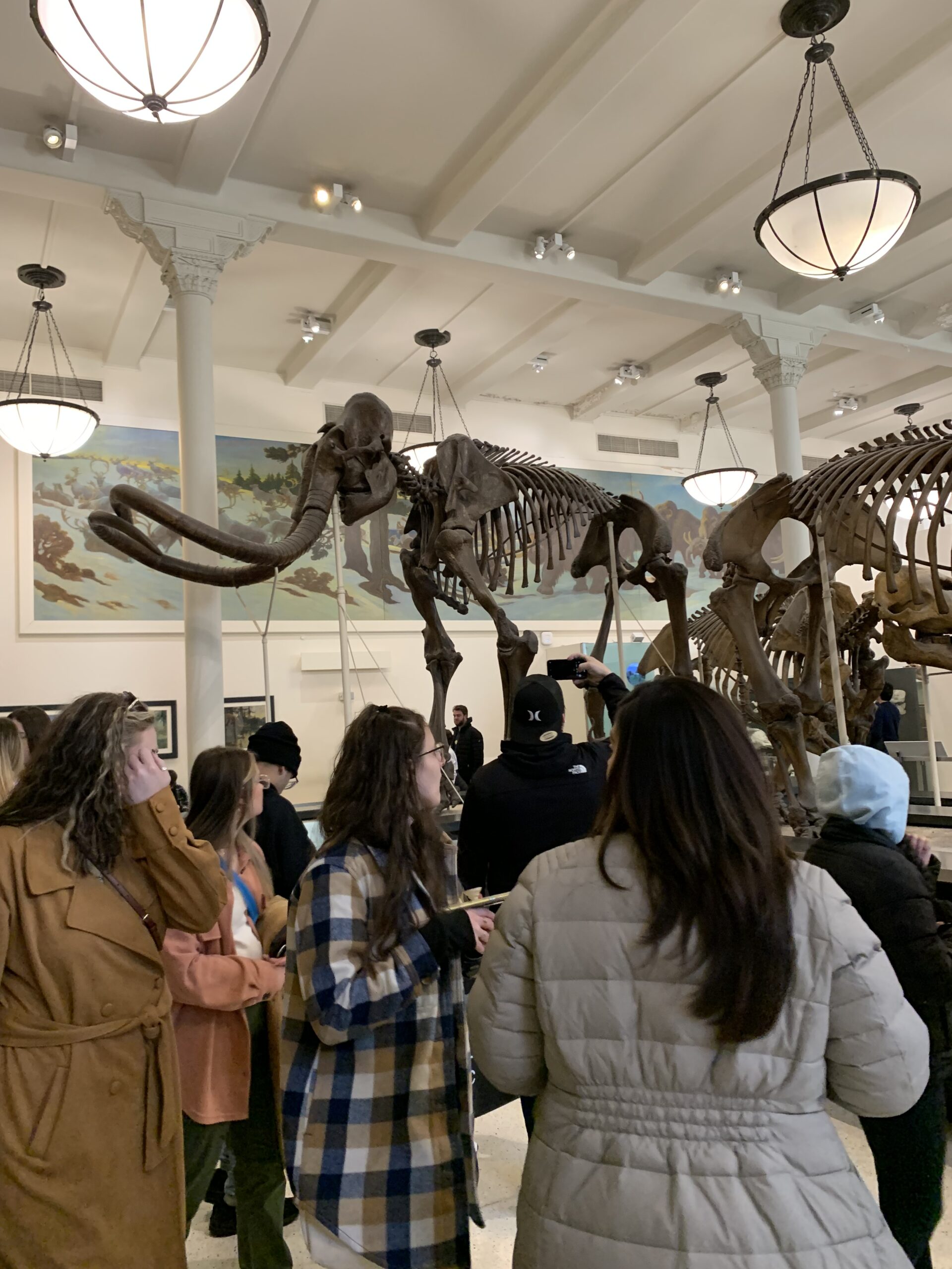 Unlock the Secrets to Planning an Ultimate Visit to the American Museum ...